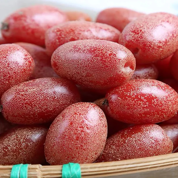 Che Fruit Seeds🎈Exotic and Nutritious – mamymarket.com