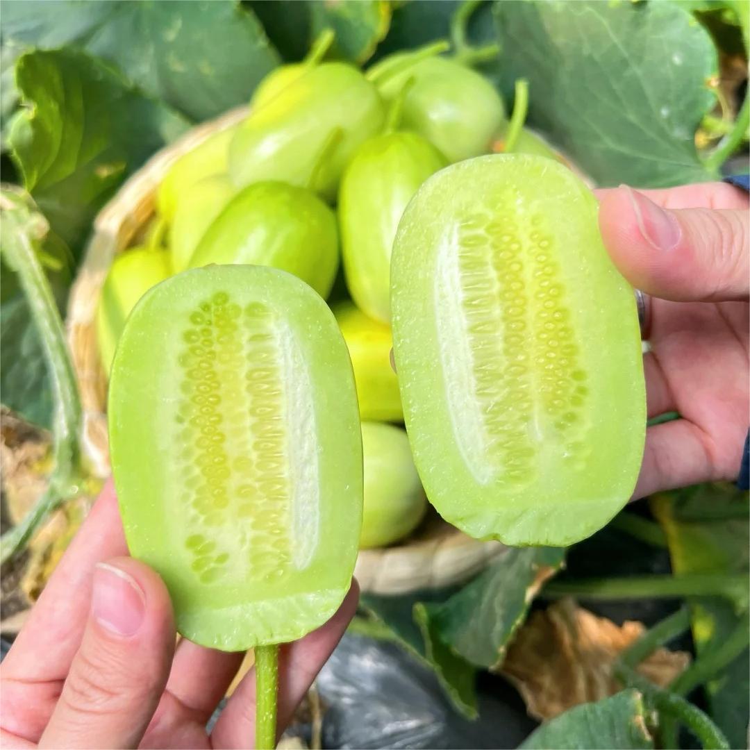 🥒Jade Maiden Cucumber – sweet, crunchy and refreshing – mamymarket.com